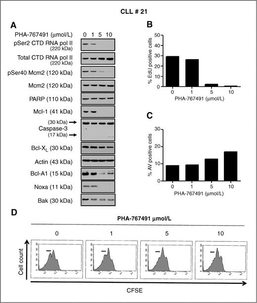 Mechanisms of Action of a Dual Cdc7/Cdk9 Kinase Inhibitor against ...