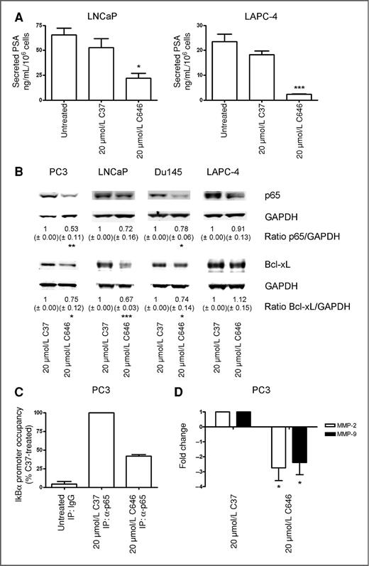 Inhibition of the Acetyltransferases p300 and CBP Reveals a Targetable ...