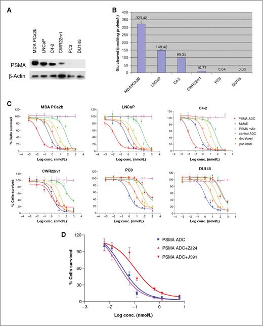 In Vitro and In Vivo Responses of Advanced Prostate Tumors to PSMA ADC, an Auristatin-Conjugated ...
