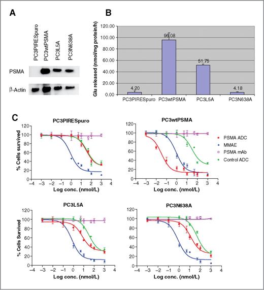 In Vitro and In Vivo Responses of Advanced Prostate Tumors to PSMA ADC, an Auristatin-Conjugated ...