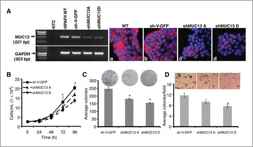 MUC13 Mucin Augments Pancreatic Tumorigenesis | Molecular Cancer ...