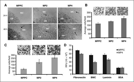MUC13 Mucin Augments Pancreatic Tumorigenesis | Molecular Cancer ...