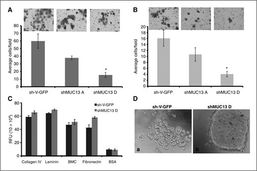 MUC13 Mucin Augments Pancreatic Tumorigenesis | Molecular Cancer ...