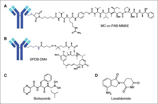 FcRL5 as a Target of Antibody–Drug Conjugates for the Treatment of ...
