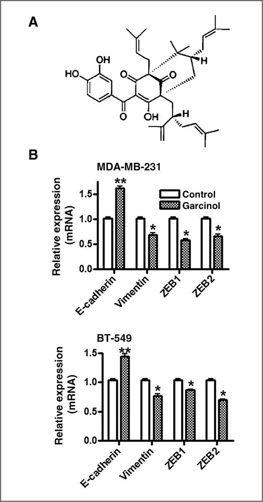 Garcinol Regulates EMT and Wnt Signaling Pathways In Vitro and In Vivo ...