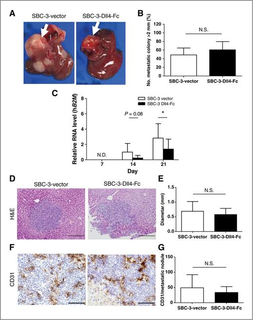 Dll4-Fc, an Inhibitor of Dll4-Notch Signaling, Suppresses Liver ...