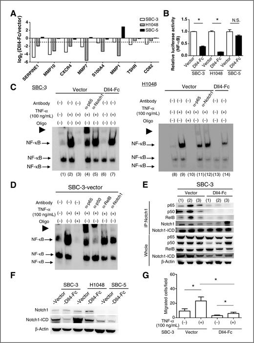 Dll4-Fc, an Inhibitor of Dll4-Notch Signaling, Suppresses Liver ...