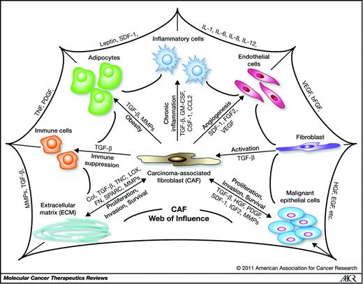 Rationale Behind Targeting Fibroblast Activation Protein–Expressing ...