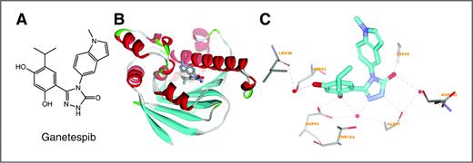 Ganetespib, a Unique Triazolone-Containing Hsp90 Inhibitor, Exhibits ...