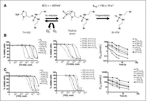 Molecular and Cellular Pharmacology of the Hypoxia-Activated Prodrug TH ...