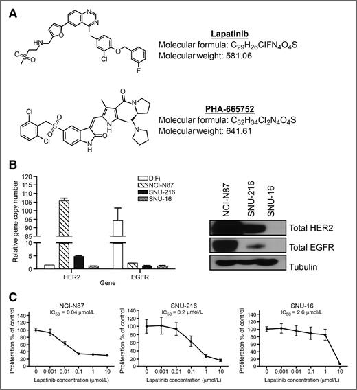 MET Activation Mediates Resistance to Lapatinib Inhibition of HER2 ...