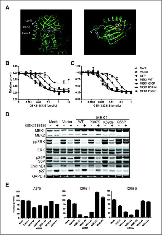 Combinations of BRAF, MEK, and PI3K/mTOR Inhibitors Overcome Acquired ...