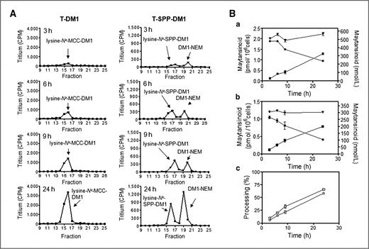 The Effect of Different Linkers on Target Cell Catabolism and ...