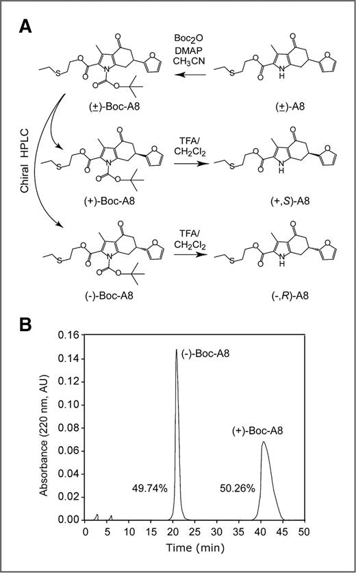Evading Pgp Activity in Drug-Resistant Cancer Cells: A Structural and ...