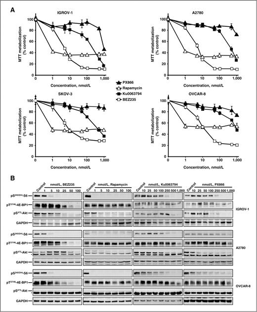 Predominance of mTORC1 over mTORC2 in the Regulation of Proliferation ...