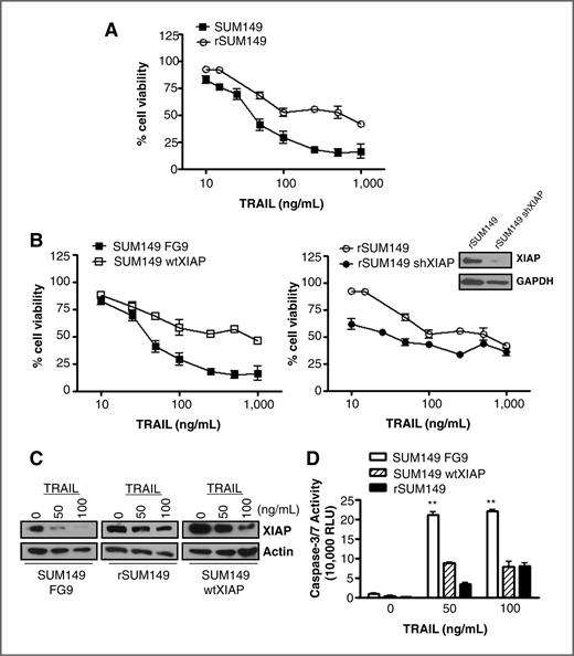 XIAP Inhibition and Generation of Reactive Oxygen Species Enhances ...