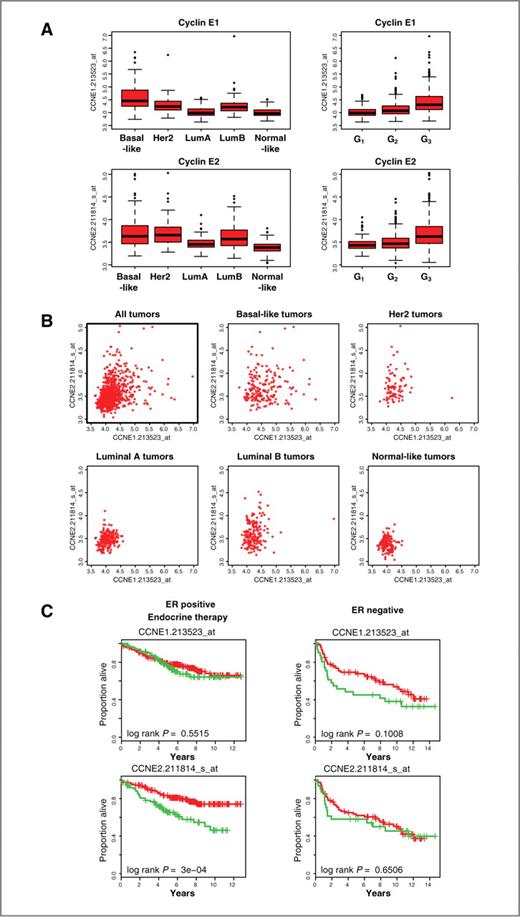 Cyclin E2 Overexpression Is Associated with Endocrine Resistance but ...