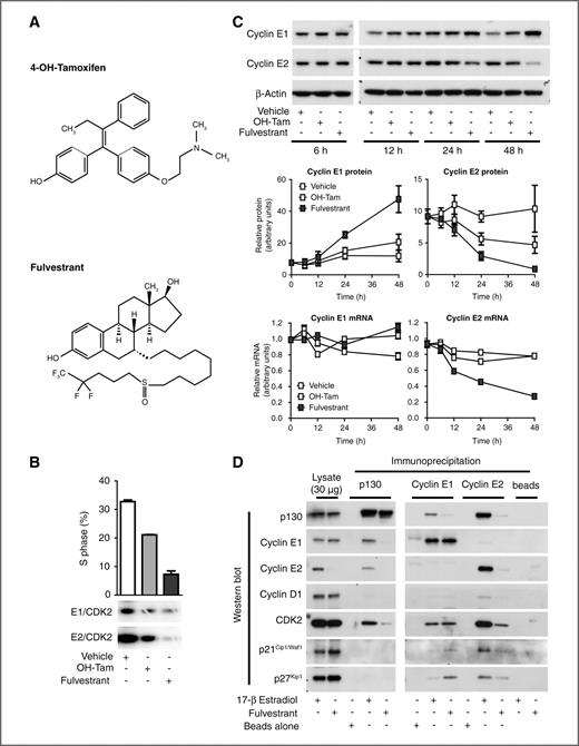 Cyclin E2 Overexpression Is Associated with Endocrine Resistance but ...