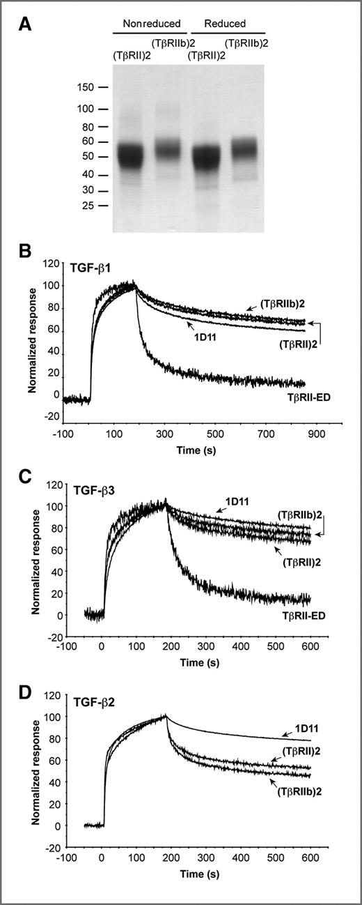 Engineering and Therapeutic Application of Single-Chain Bivalent TGF-β ...