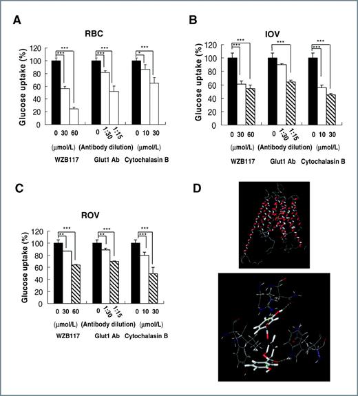 A Small-Molecule Inhibitor of Glucose Transporter 1 Downregulates ...