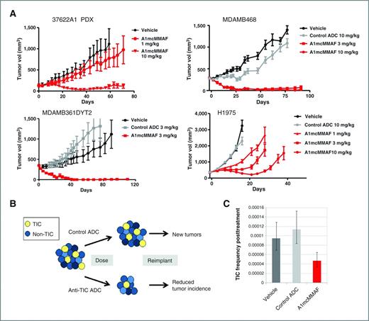 Long-term Tumor Regression Induced by an Antibody–Drug Conjugate That Targets 5T4, an Oncofetal ...