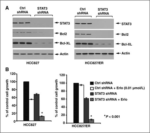 Niclosamide Overcomes Acquired Resistance to Erlotinib through ...