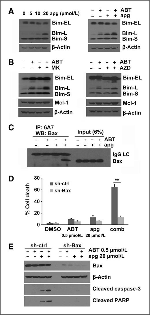 Apigenin Sensitizes Colon Cancer Cells to Antitumor Activity of ABT-263 ...