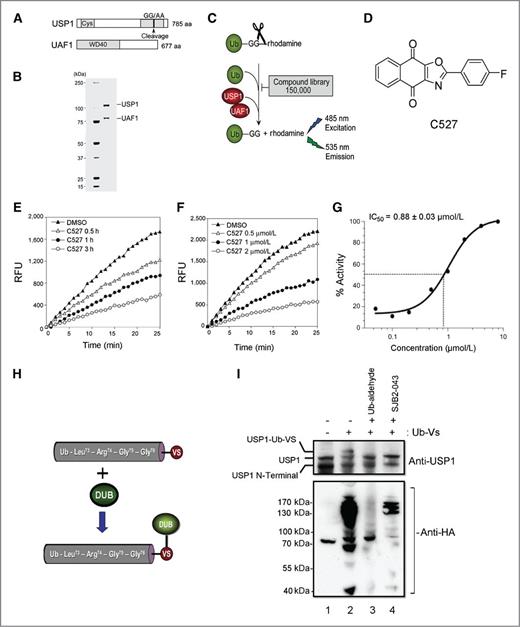 Small-Molecule Inhibitors of USP1 Target ID1 Degradation in Leukemic ...