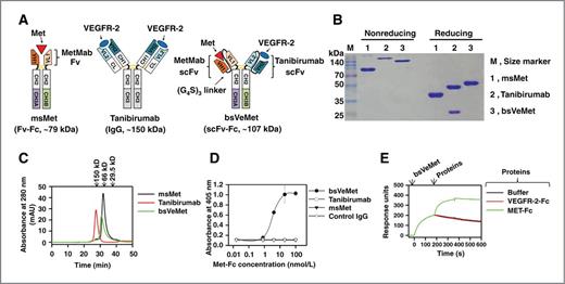 A Heterodimeric Fc-Based Bispecific Antibody Simultaneously Targeting ...