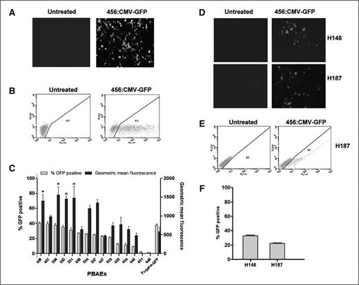Poly(β-amino ester) Nanoparticle Delivery of TP53 Has Activity against ...