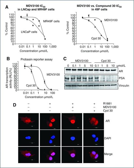 A Novel Antiandrogen, Compound 30, Suppresses Castration-Resistant and MDV3100-Resistant ...