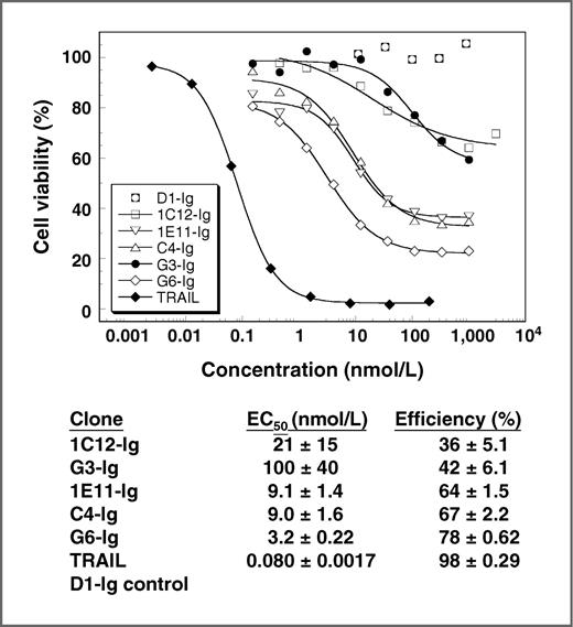 Multivalent Scaffold Proteins as Superagonists of TRAIL Receptor 2 ...