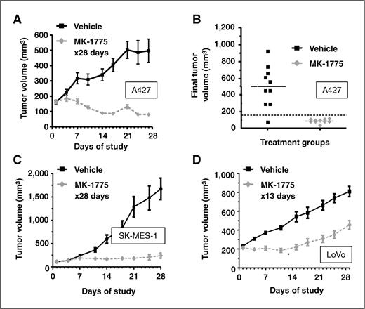 Preclinical Evaluation of the WEE1 Inhibitor MK-1775 as Single-Agent ...