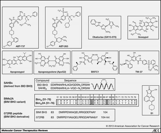 BH3 Mimetics: Status of the Field and New Developments | Molecular ...