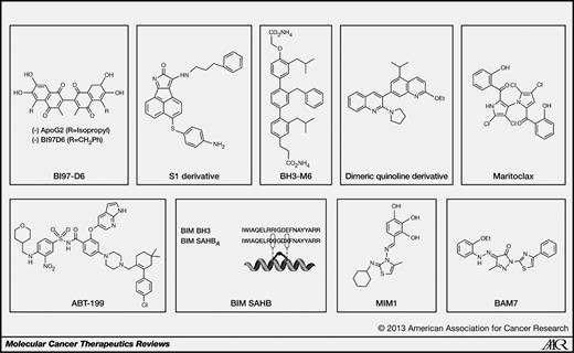 BH3 Mimetics: Status of the Field and New Developments | Molecular ...