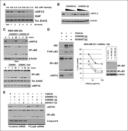 Small-Molecule IAP Antagonists Sensitize Cancer Cells to TRAIL-Induced ...