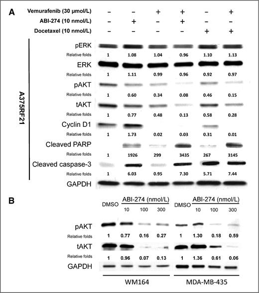 Synergistic Combination of Novel Tubulin Inhibitor ABI-274 and ...