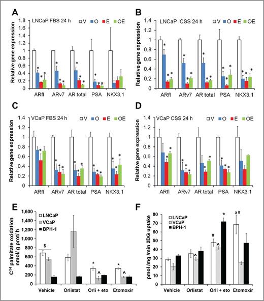 Lipid Catabolism via CPT1 as a Therapeutic Target for Prostate Cancer ...