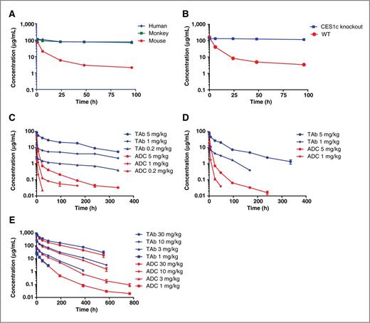 Preclinical Profile of the HER2-Targeting ADC SYD983/SYD985 ...