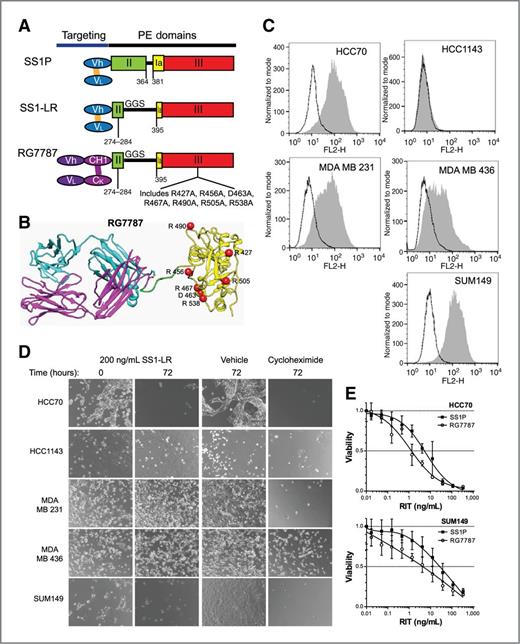 Efficacy of RG7787, a Next-Generation Mesothelin-Targeted Immunotoxin ...