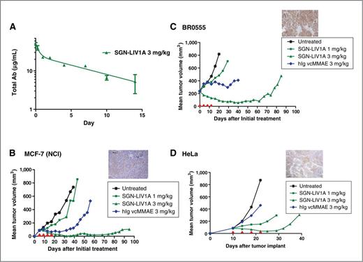 SGN–LIV1A: A Novel Antibody–Drug Conjugate Targeting LIV-1 for the ...