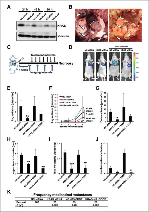 Therapeutic Silencing of KRAS Using Systemically Delivered siRNAs ...