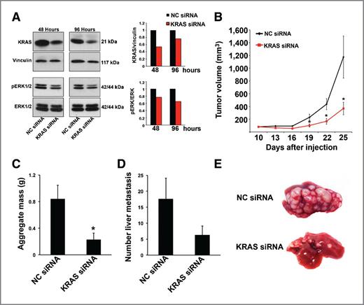 Therapeutic Silencing of KRAS Using Systemically Delivered siRNAs ...