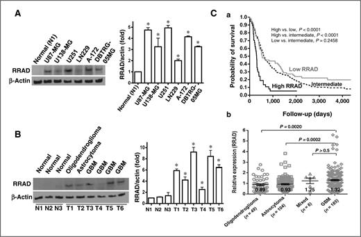 RRAD Promotes EGFR-Mediated STAT3 Activation and Induces Temozolomide ...