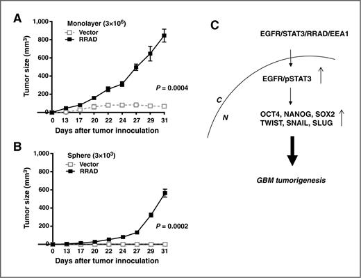 RRAD Promotes EGFR-Mediated STAT3 Activation and Induces Temozolomide ...