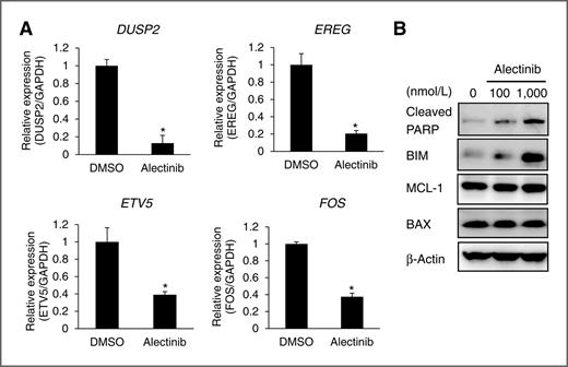 Alectinib Shows Potent Antitumor Activity against RET-Rearranged Non ...