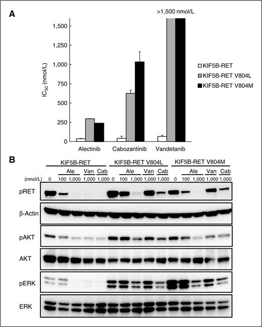 Alectinib Shows Potent Antitumor Activity against RET-Rearranged Non ...
