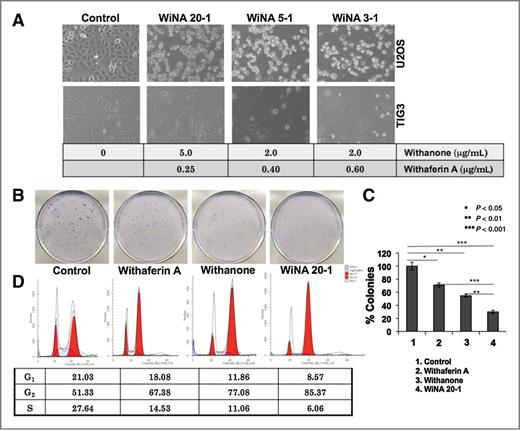 Withanone-Rich Combination of Ashwagandha Withanolides Restricts ...
