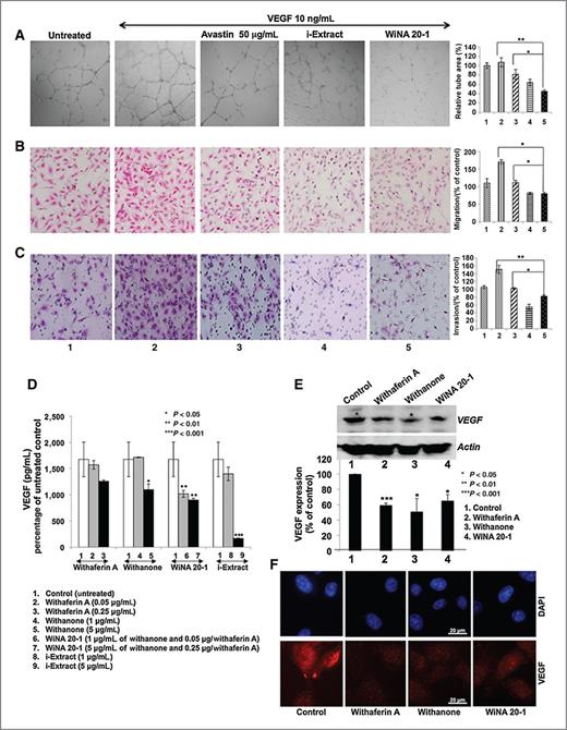Withanone-Rich Combination of Ashwagandha Withanolides Restricts ...