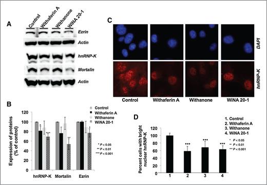 Withanone-Rich Combination of Ashwagandha Withanolides Restricts ...
